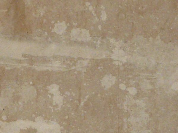 white plywood texture 0006 - Texturelib